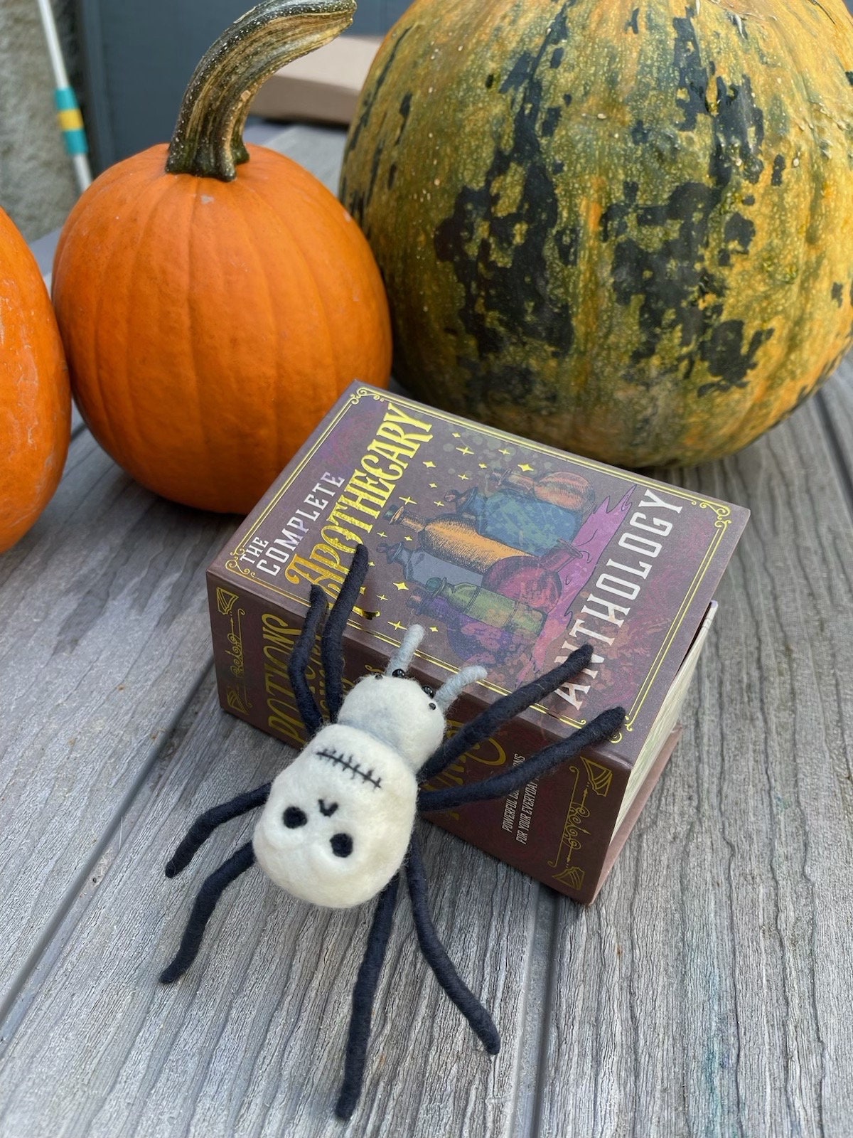 Needle Felted Tarantula With Skull Halloween Spider Gift - Etsy