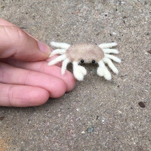 Needle Felted Sand Crab - Etsy