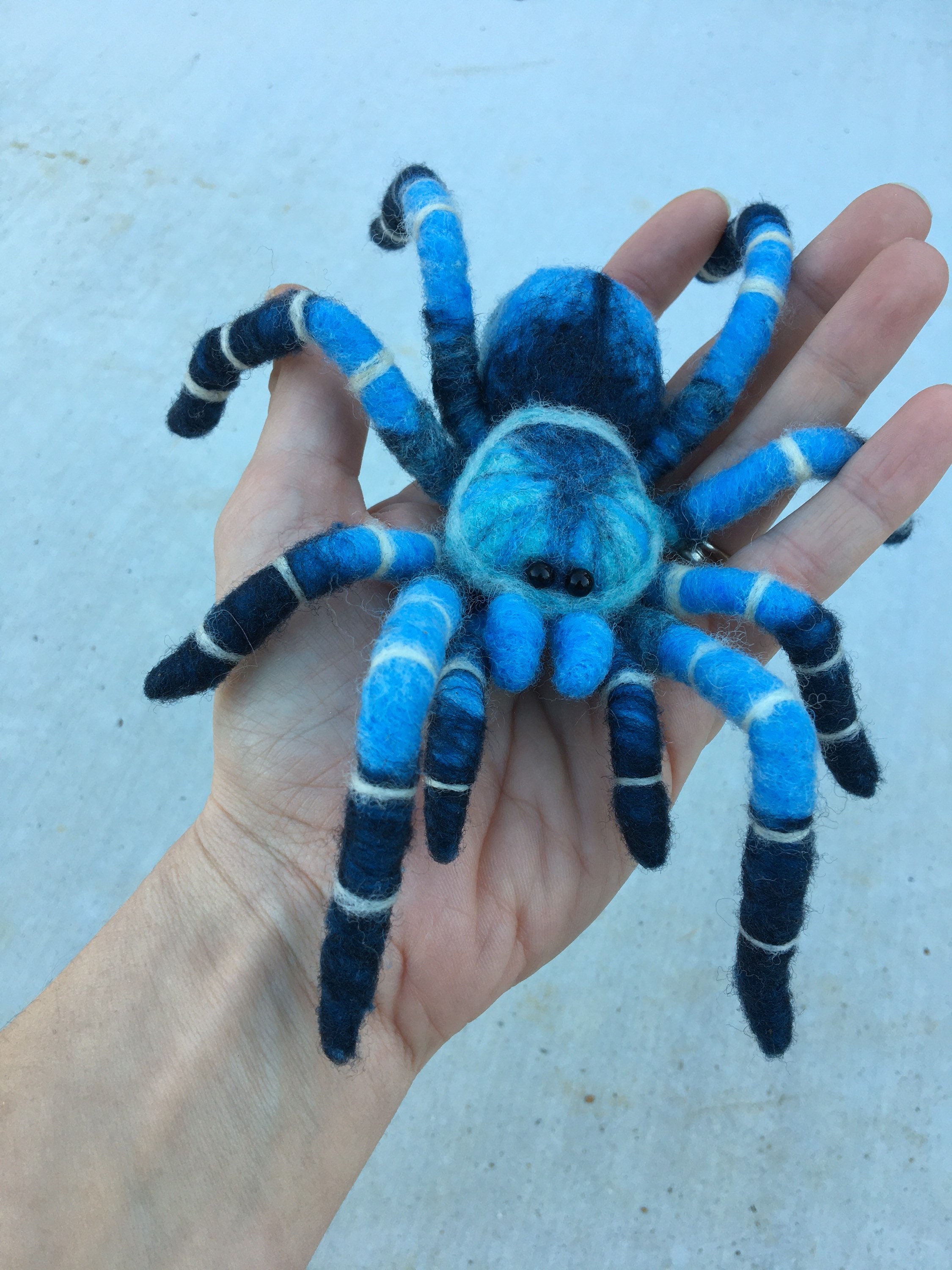 Cobalt Blue Tarantula Web
