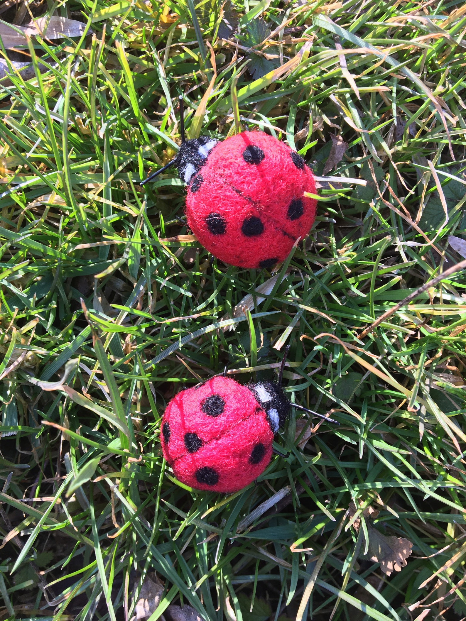 Needle Felted Lady Bug - Etsy