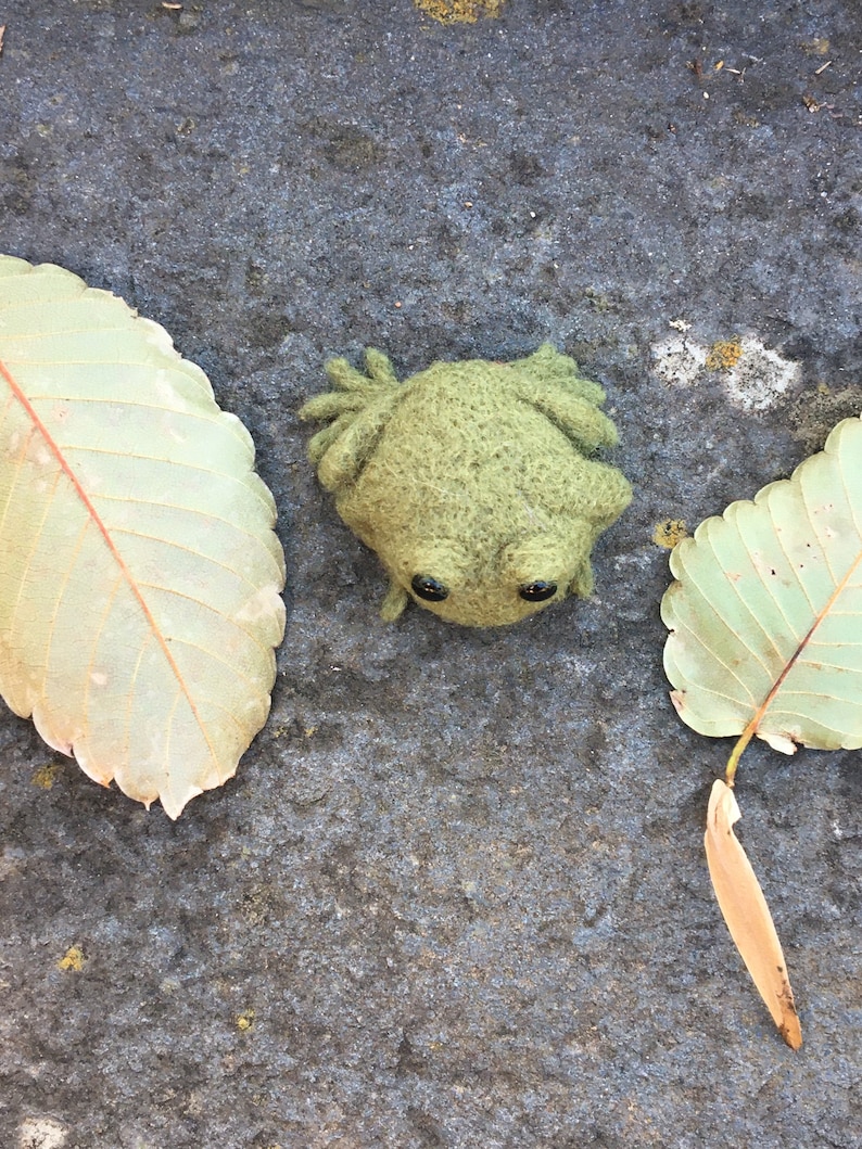 Needle Felted Green Frog Wool Sculpture Realistic Frog Art Gift for ...