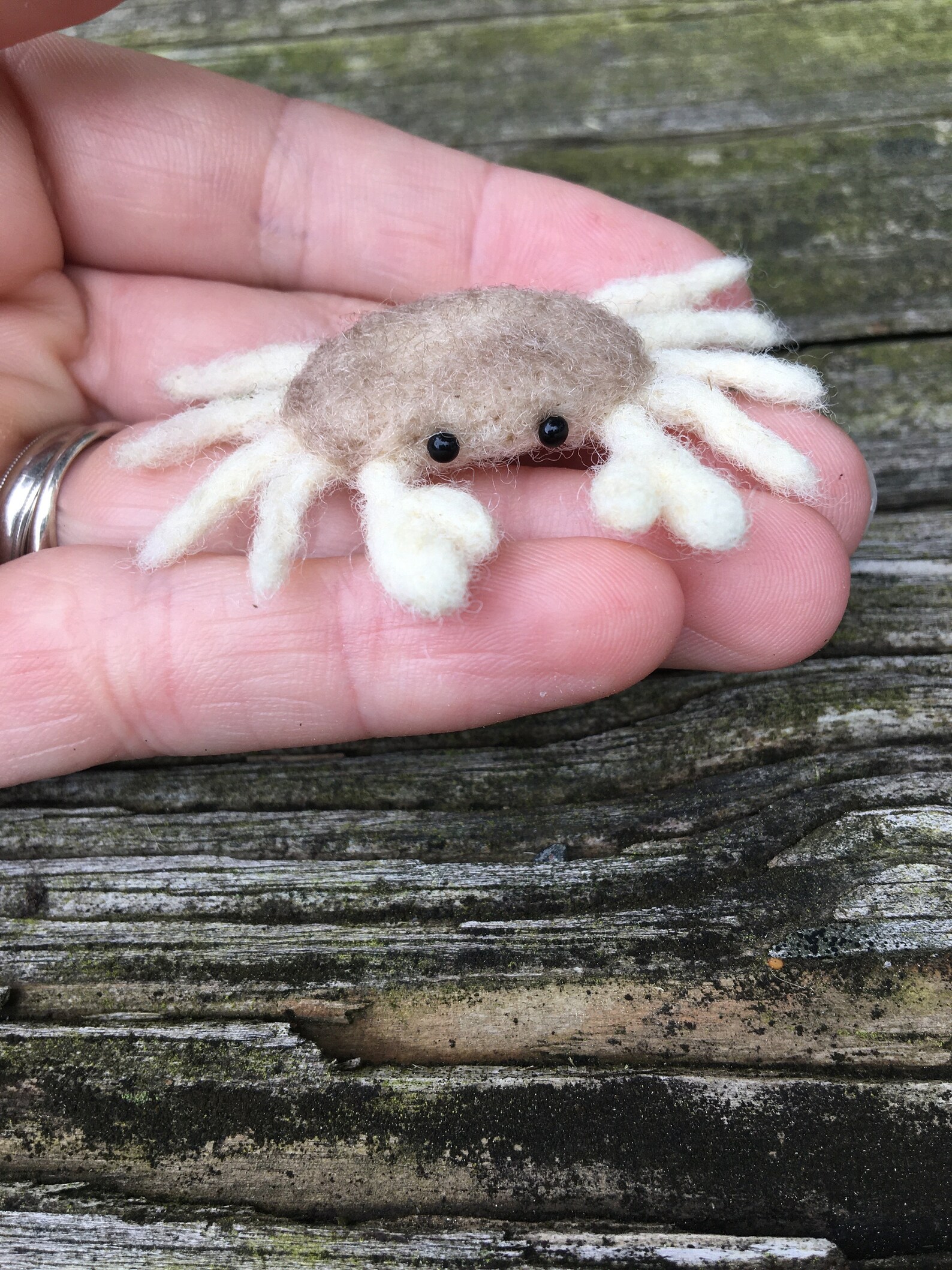 Needle Felted Sand Crab - Etsy