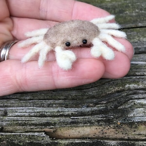 Needle Felted Sand Crab - Etsy