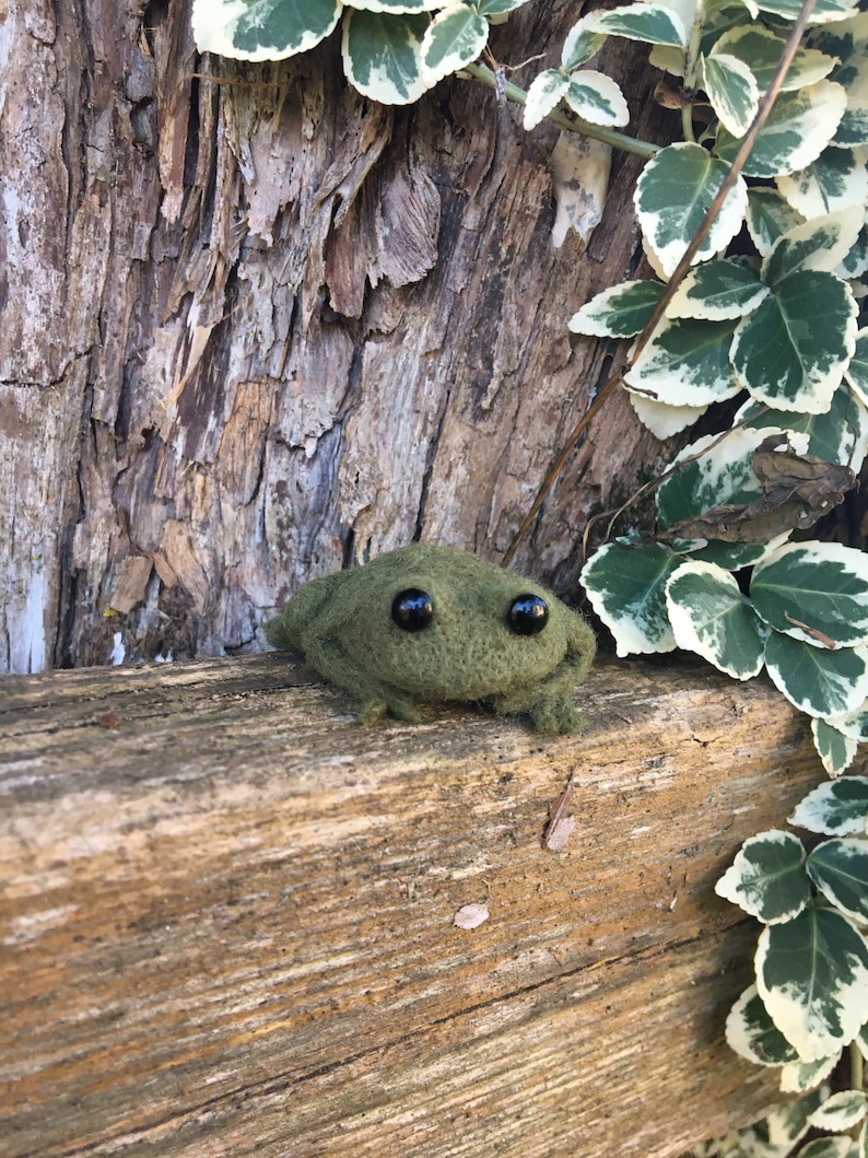 Needle Felted Green Frog Wool Sculpture Realistic Frog Art Gift for ...
