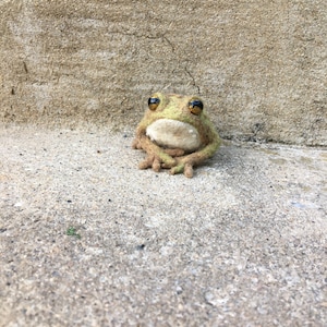 Needle Felted Toad Handmade Wool Toad Sculpture - Etsy