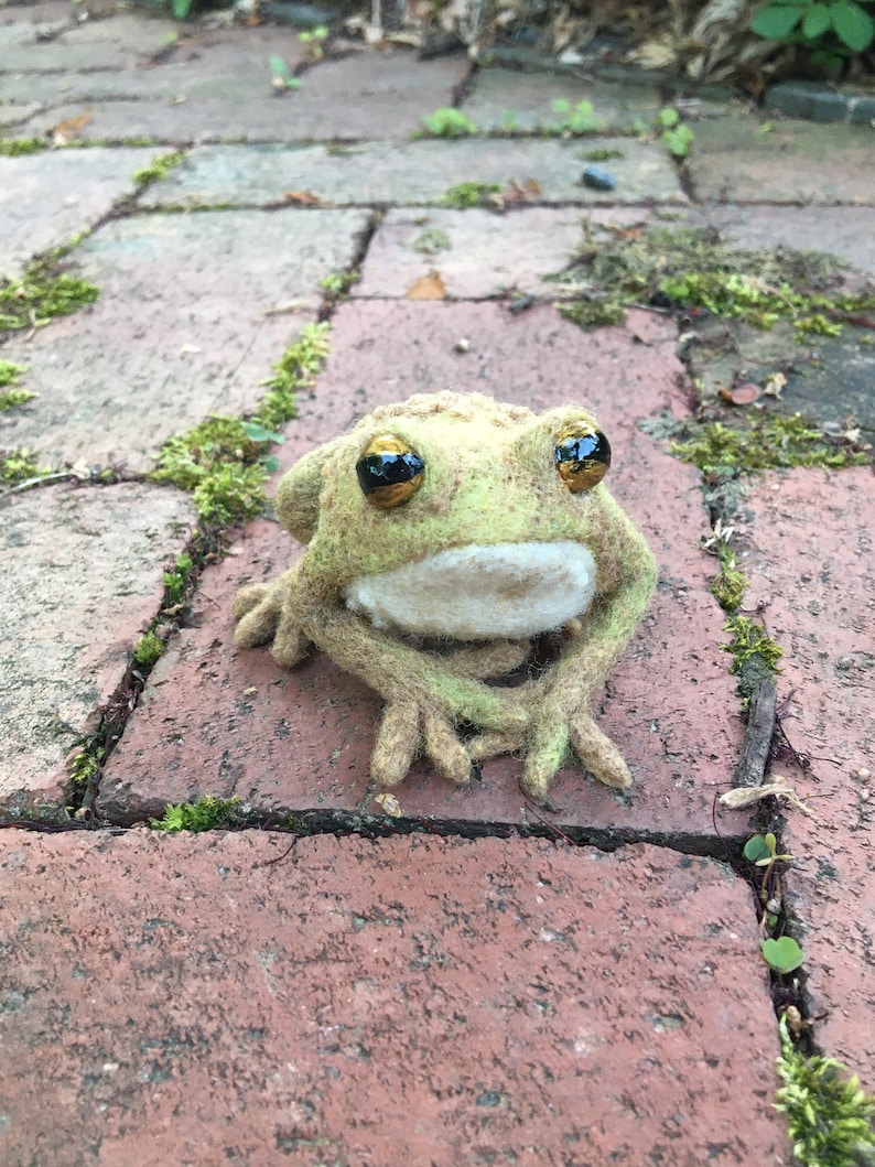 Needle Felted Toad Handmade Wool Toad Sculpture - Etsy
