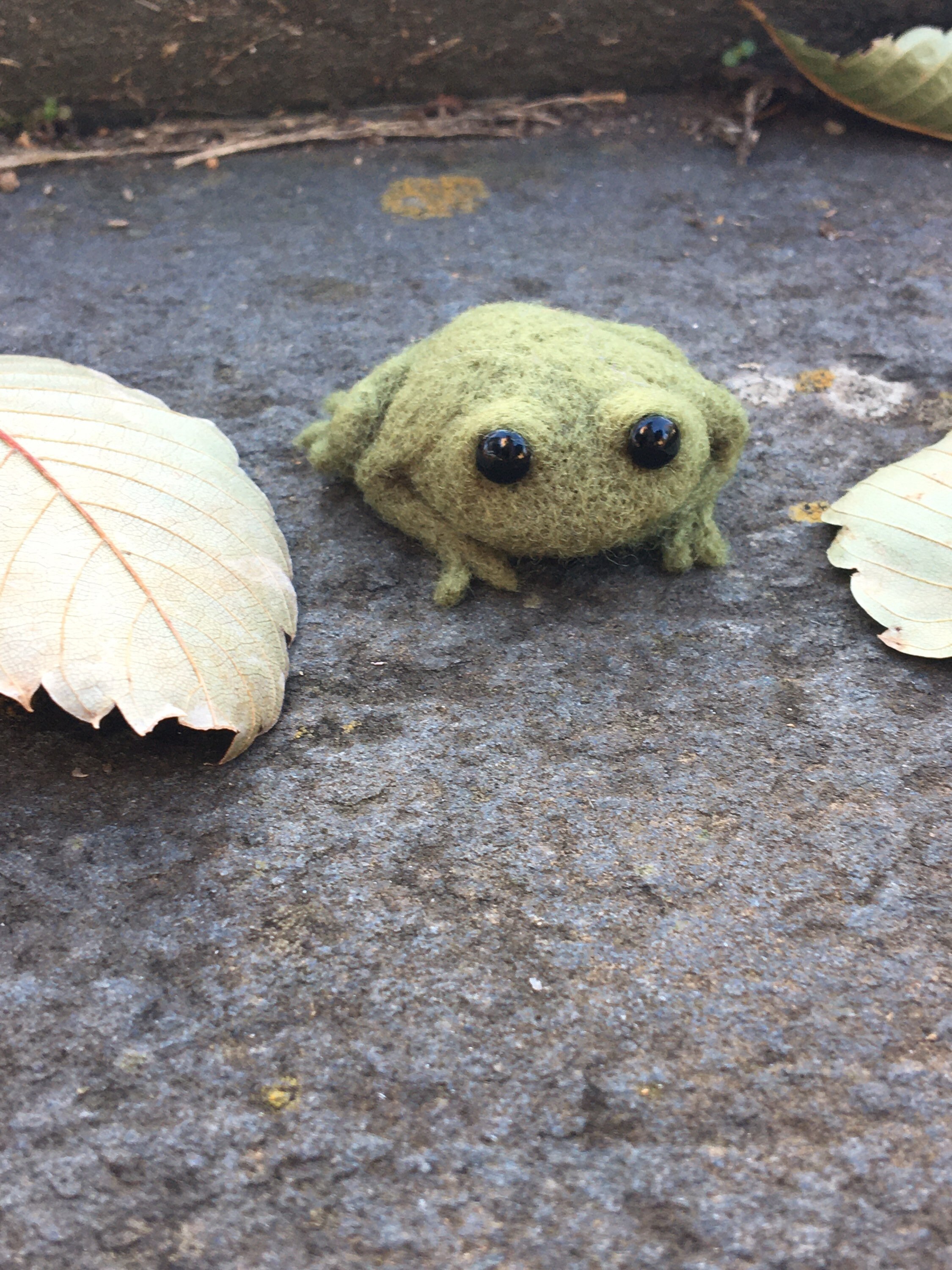 Needle Felted Green Frog Wool Sculpture Realistic Frog Art Gift for ...