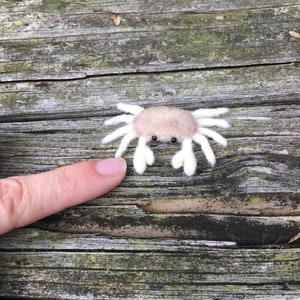 Needle Felted Sand Crab - Etsy