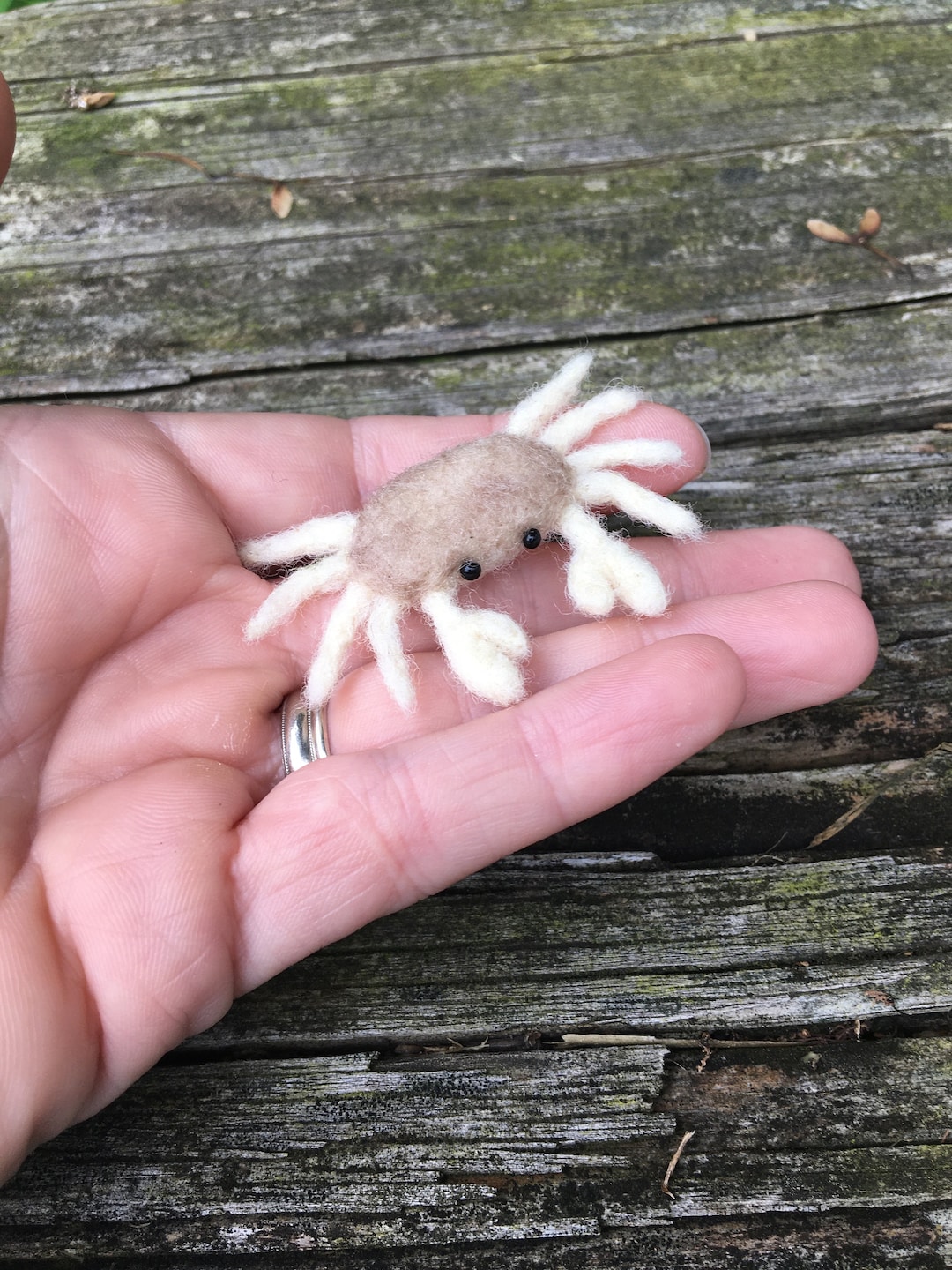 Needle Felted Sand Crab - Etsy