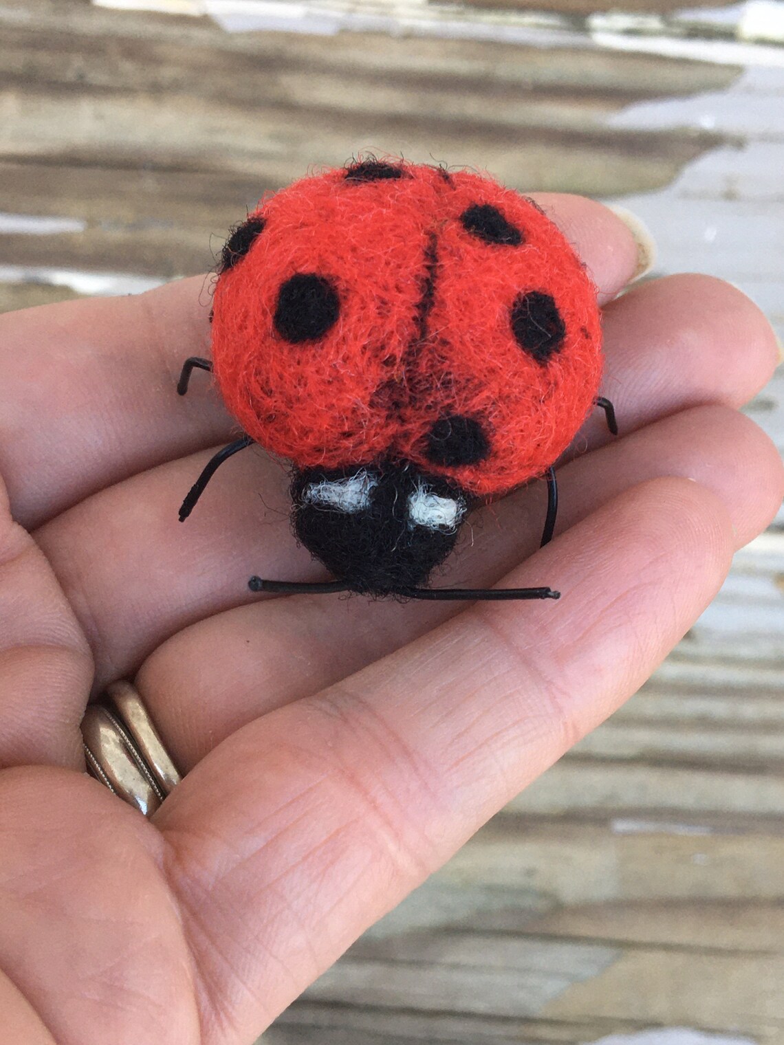 Needle Felted Lady Bug - Etsy