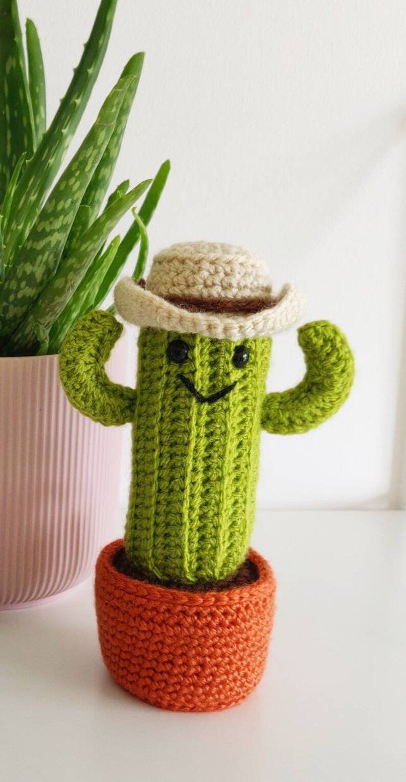 Crocheted Cactus With Custom Hats - Customisable - Housewarming, Desk ...