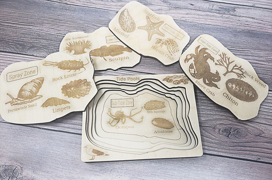 Tide Pool Layered Puzzle Ocean Wooden Puzzle Montessori - Etsy