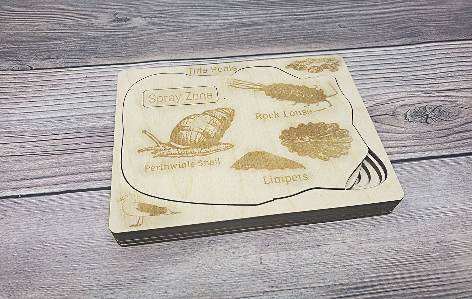 Tide Pool Layered Puzzle Ocean Wooden Puzzle Montessori - Etsy