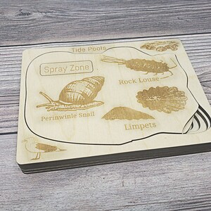 Tide Pool Layered Puzzle Ocean Wooden Puzzle Montessori - Etsy