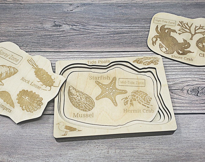 Tidepool Layered Puzzle, Ocean Wooden Puzzle, Montessori Wooden Puzzle ...