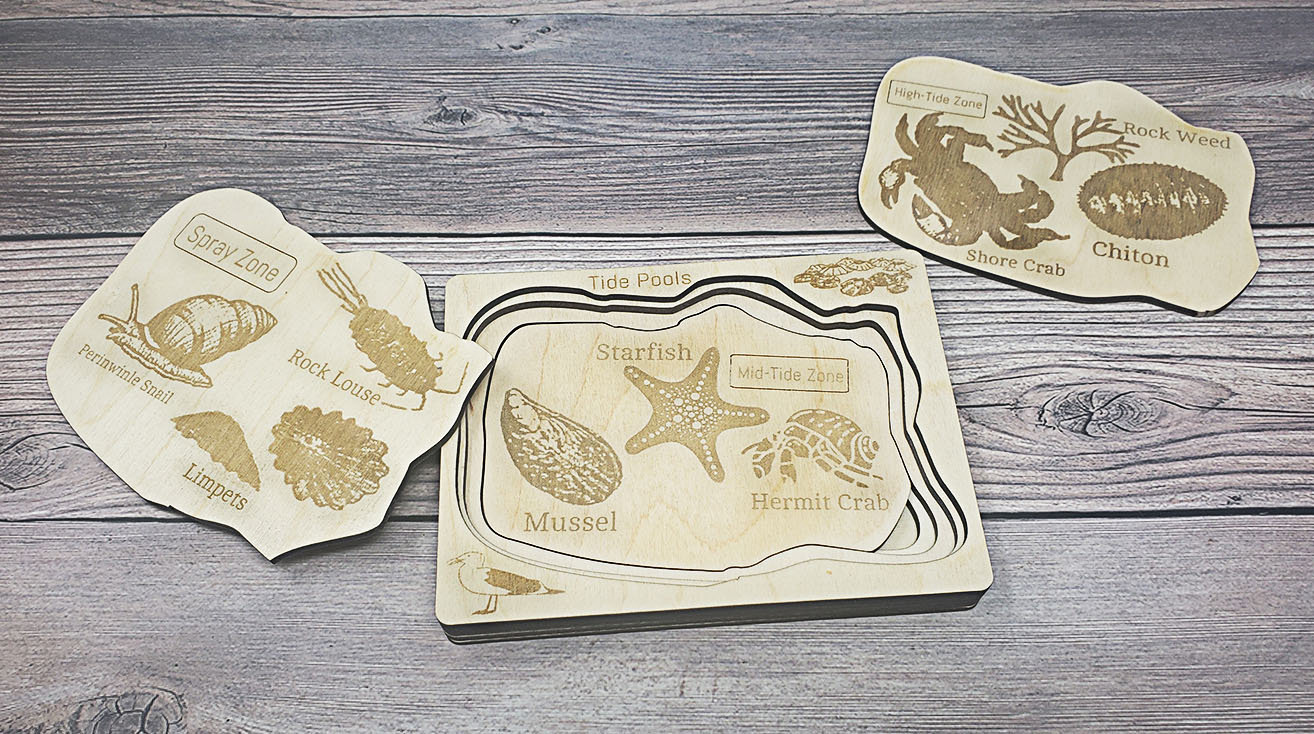 Tide Pool Layered Puzzle Ocean Wooden Puzzle Montessori - Etsy