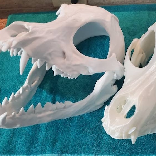Canine Fox 3D Printed Fursuit Head Base Kit - Etsy