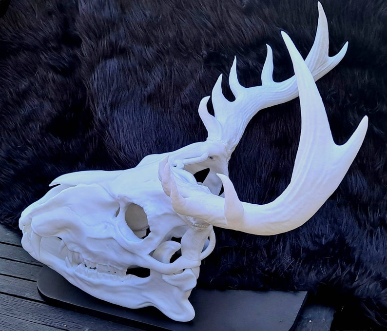 Northern Wendigo Skully Advanced Wearable Articulated Skull - Etsy