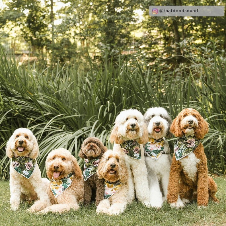 The Hazel Dog Bandana Washable Triangle Reversible Cotton - Etsy