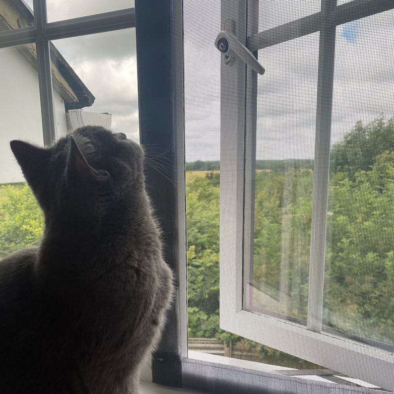 Small Custom Flat Cats Window Screens - Mesh Window Protection for Cats ...