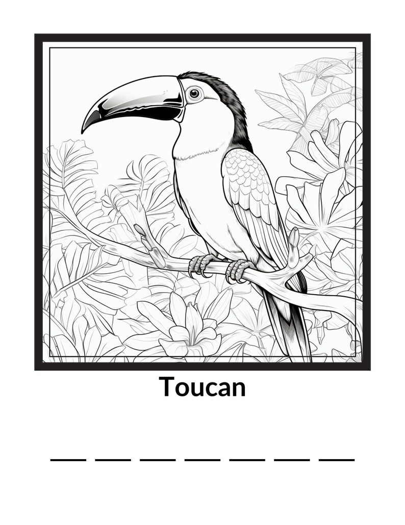 The Jungle Children's Coloring and Activity Book - Etsy