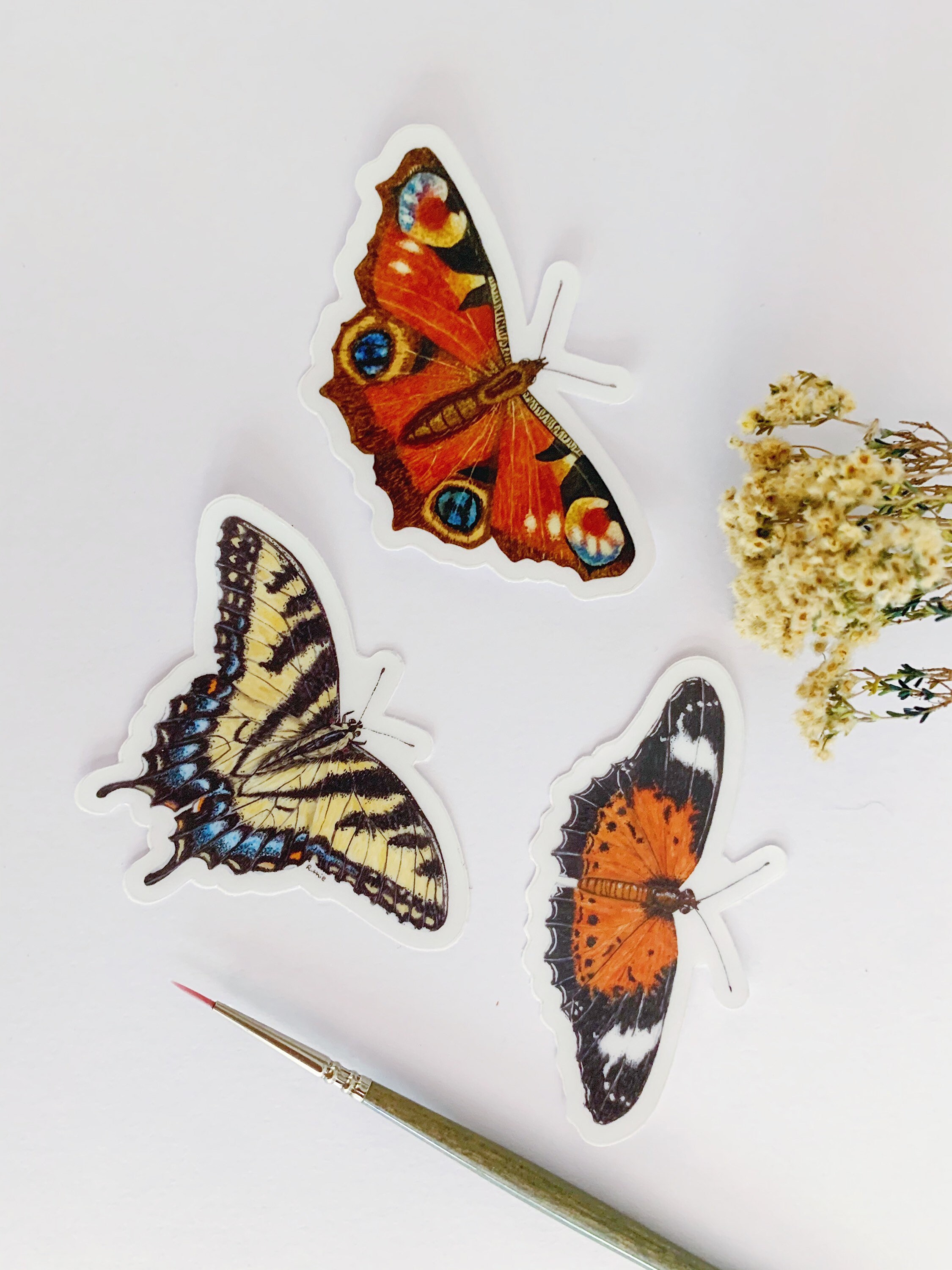 Watercolor Butterfly Sticker pack Bumper Sticker Pack | Etsy