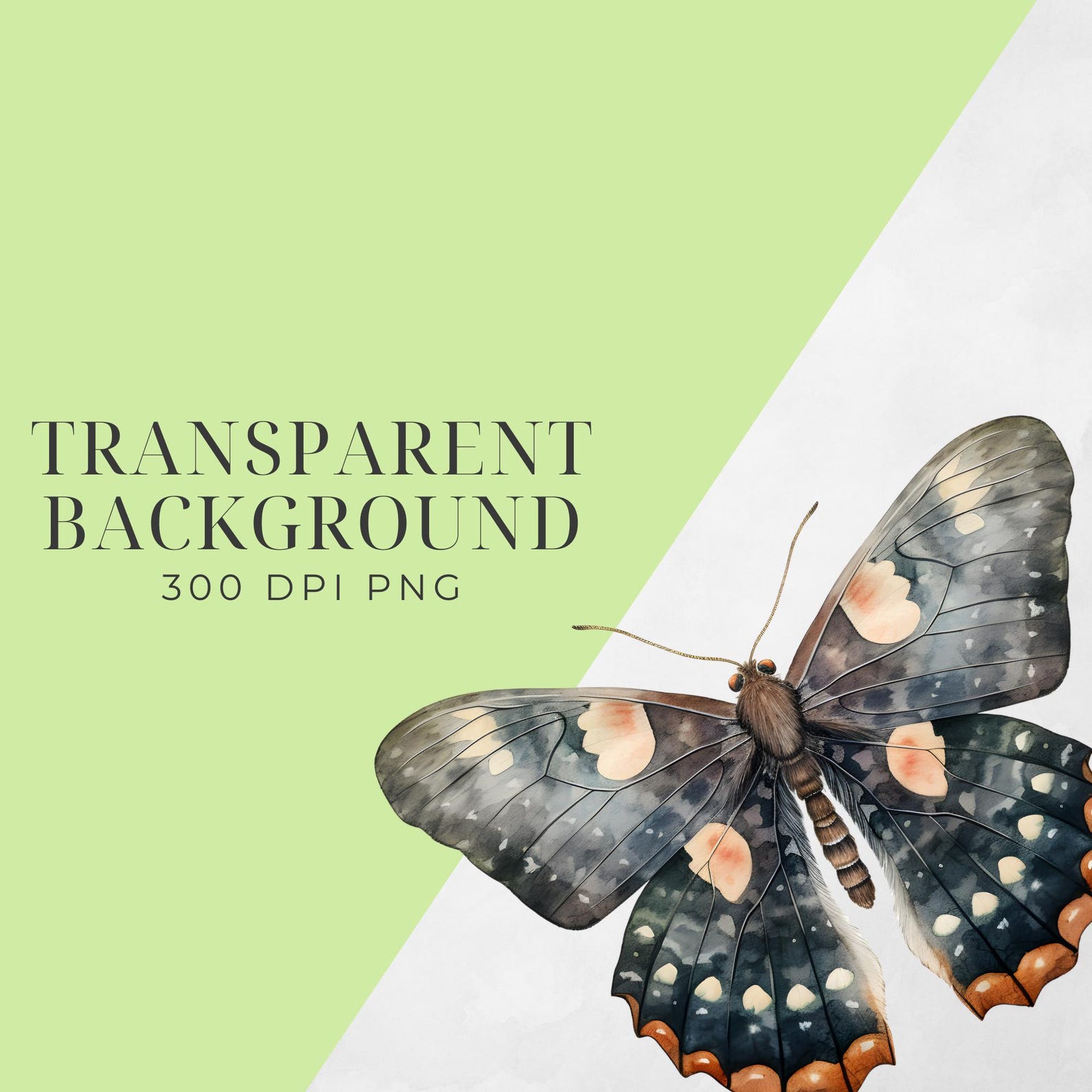 Watercolour Moth Clipart, Journal Ephemera, Moth Png, Insect ...