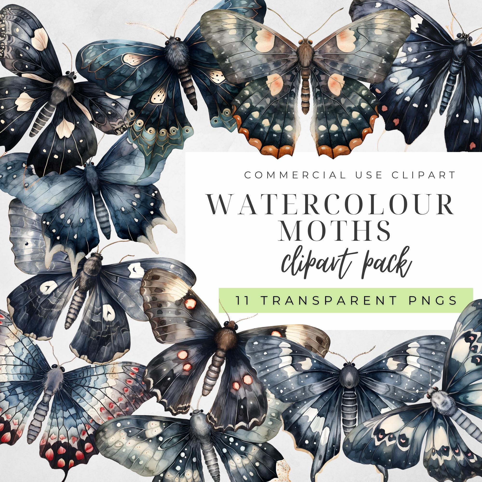 Watercolour Moth Clipart, Journal Ephemera, Moth Png, Insect ...