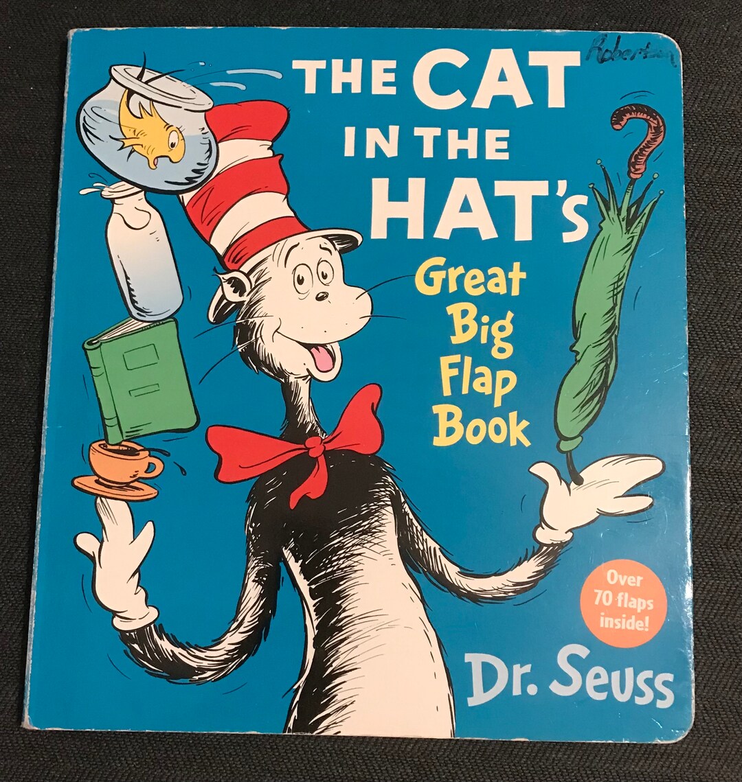 The Cat in the Hat, Great Big Flap Book - Etsy