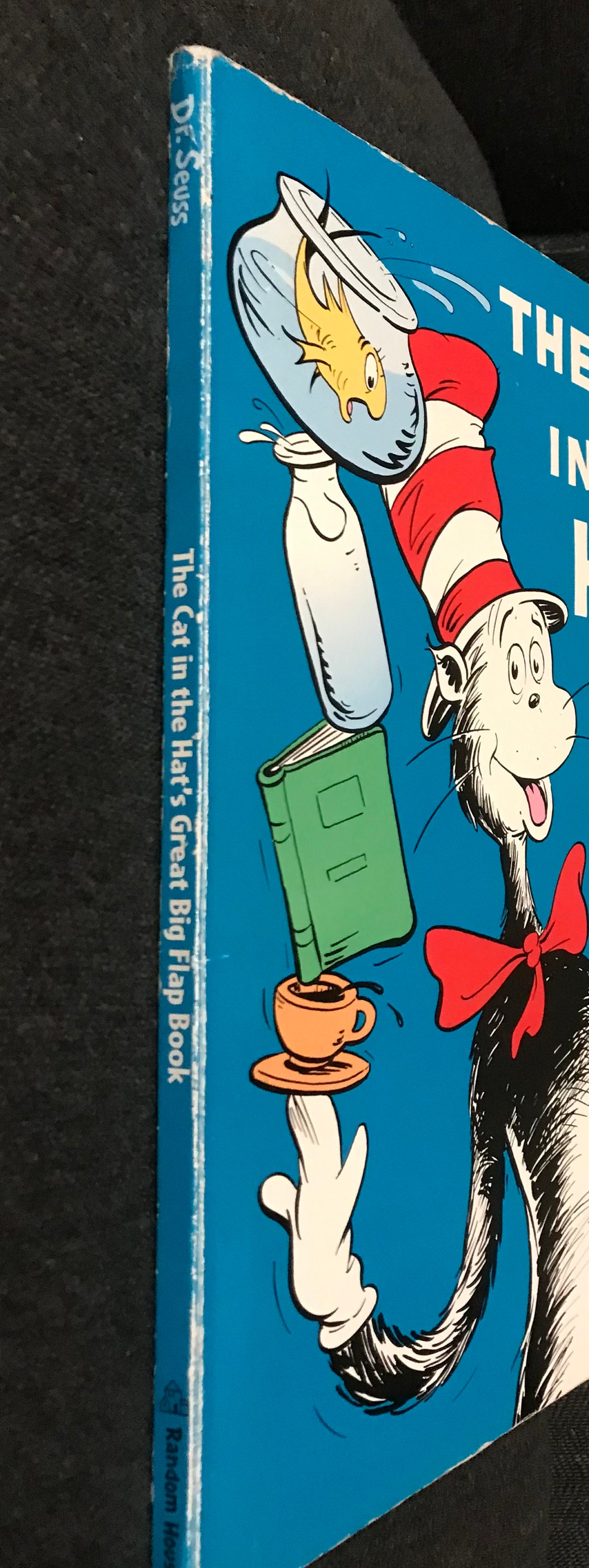 The Cat in the Hat, Great Big Flap Book - Etsy