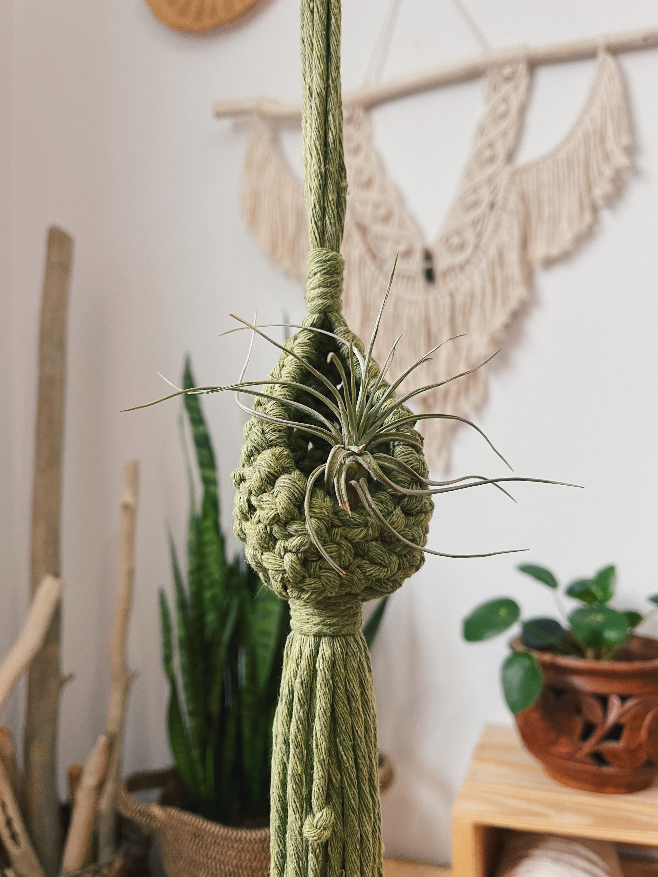 Air Plant Pod Macrame Hanger | Etsy