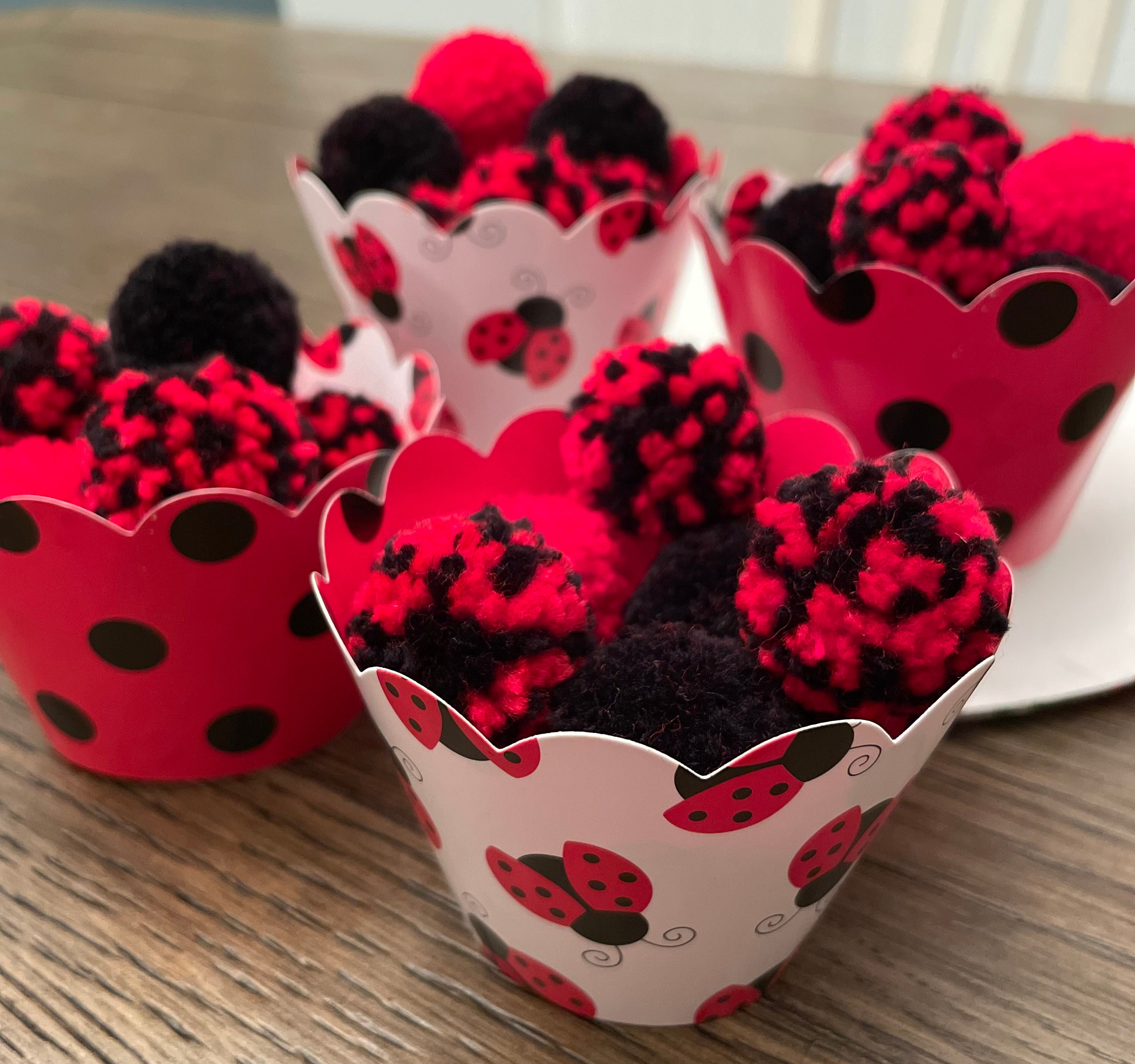 Ladybug Pom Set 10 Toy Set - Etsy