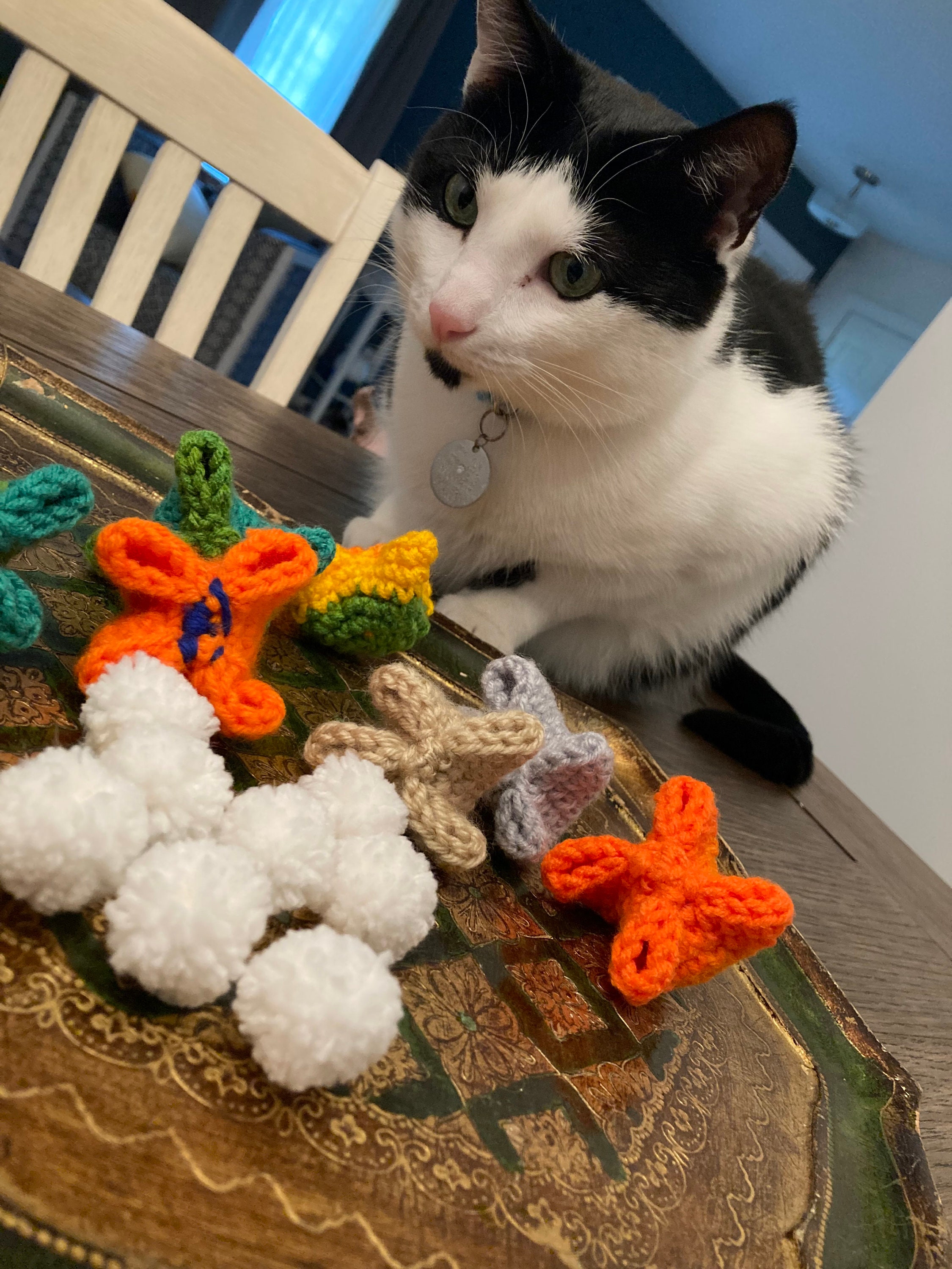 Catnip Infused Wonton and Rice Ball Cat Toy Set 6 toys | Etsy