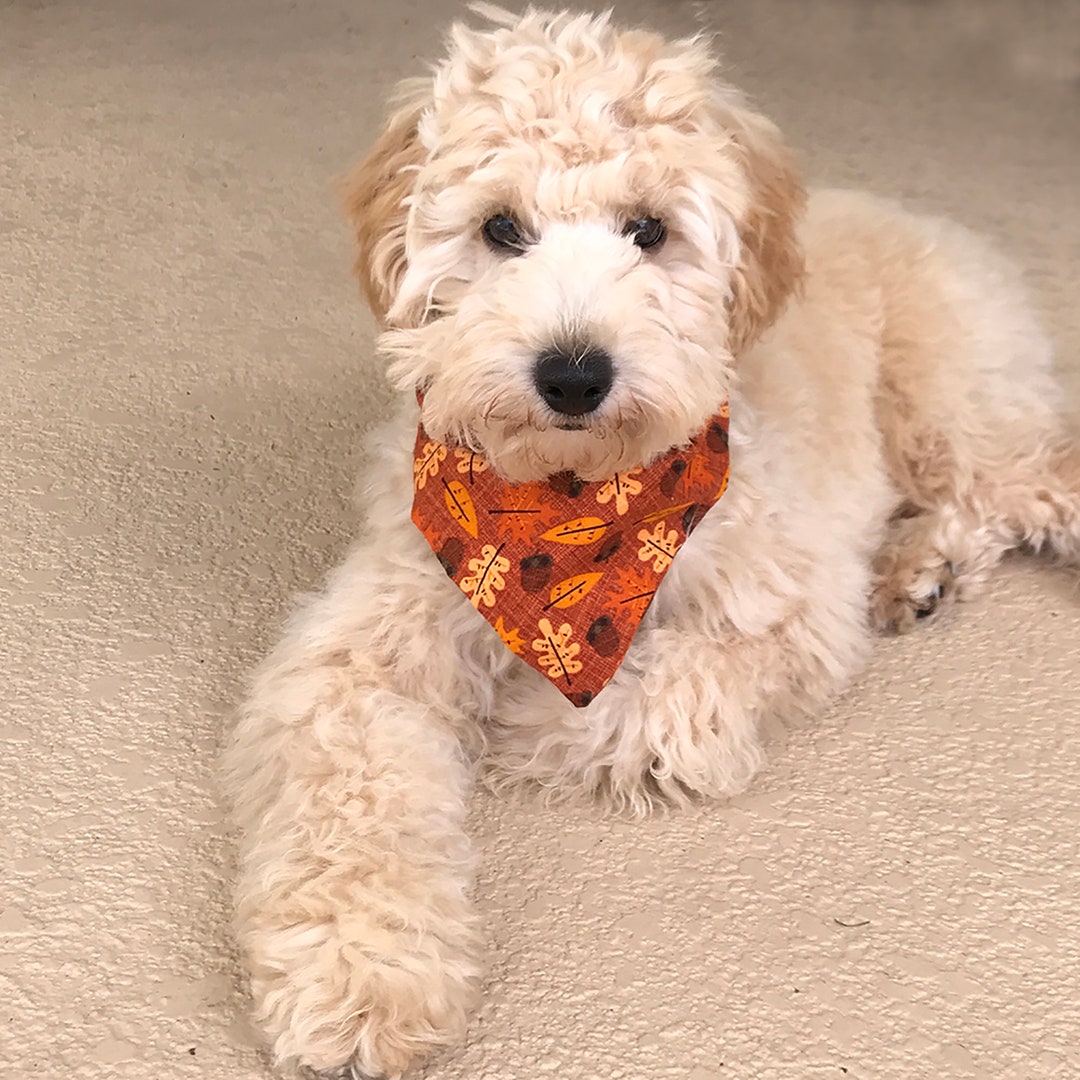 Fall Dog Bandana, Dog Scarf, Autumn Leaves Bandana for Dogs Doggies ...