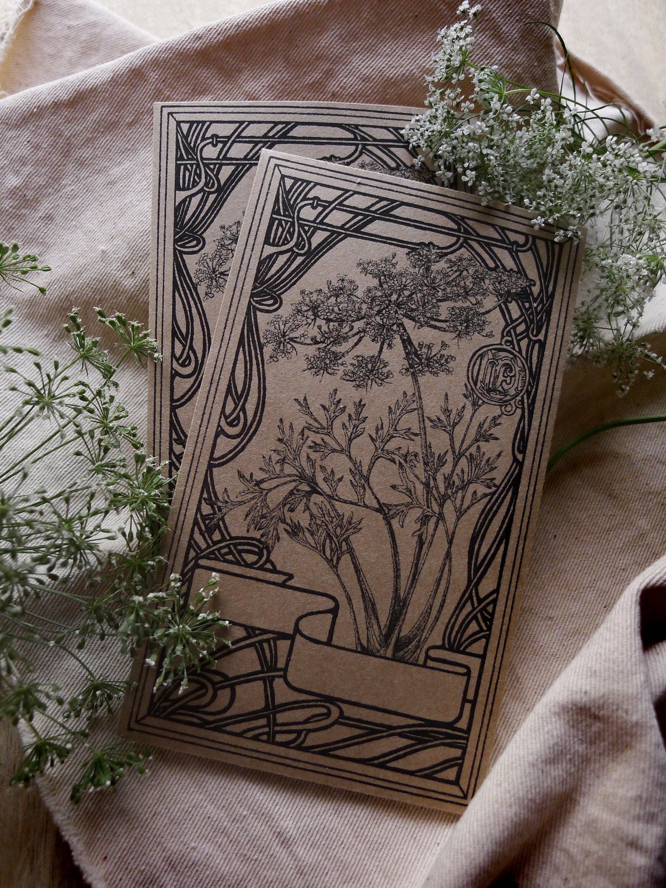 Queen Anne's Lace Seed Packet / Envelope, Instant Download, Seed ...