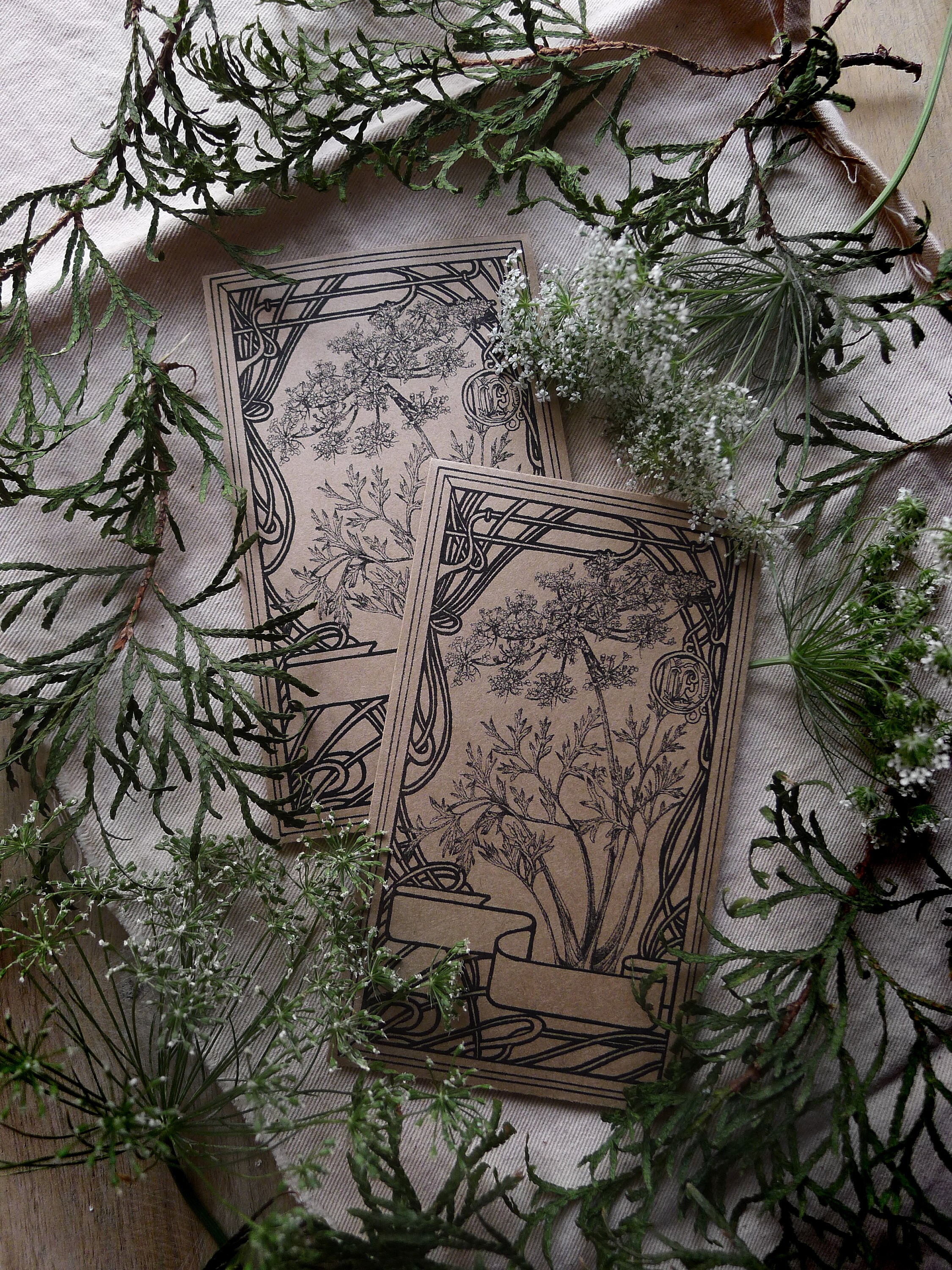 Queen Anne's Lace Seed Packet / Envelope, Instant Download, Seed ...