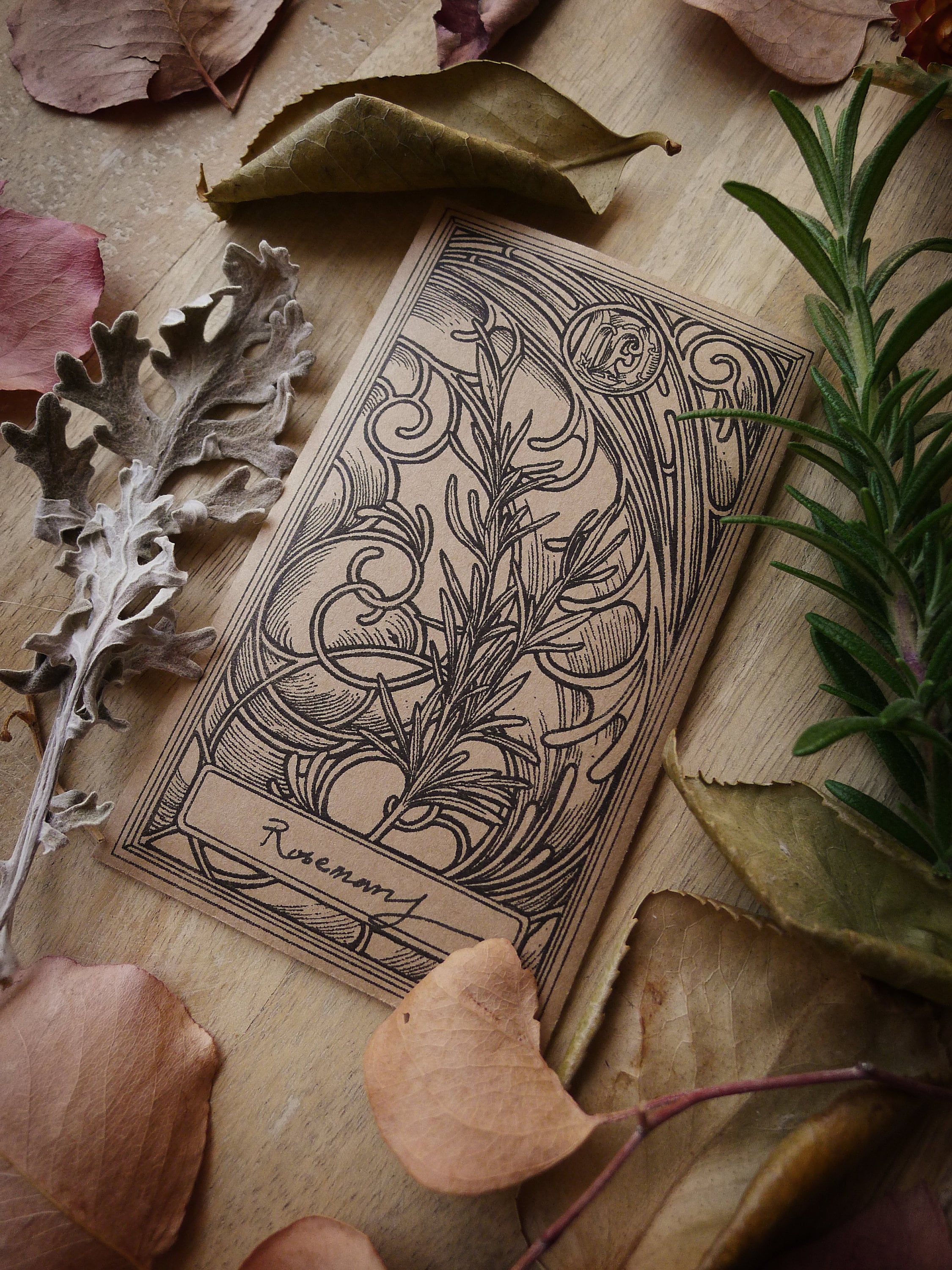 Rosemary Seed Packet Instant Download Seed Envelope - Etsy