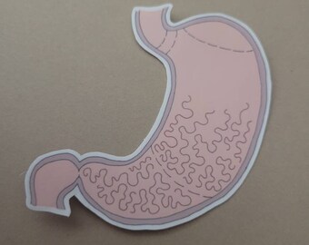 Stomach Sticker - Etsy