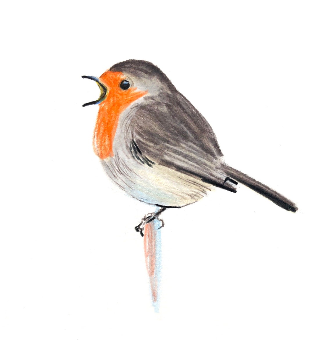 Singing Robin post. Original Drawing. - Etsy