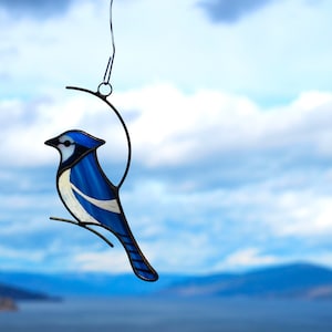 Stained Glass Blue Jay, Bluejay Suncatcher, Window Hanging, Stained ...
