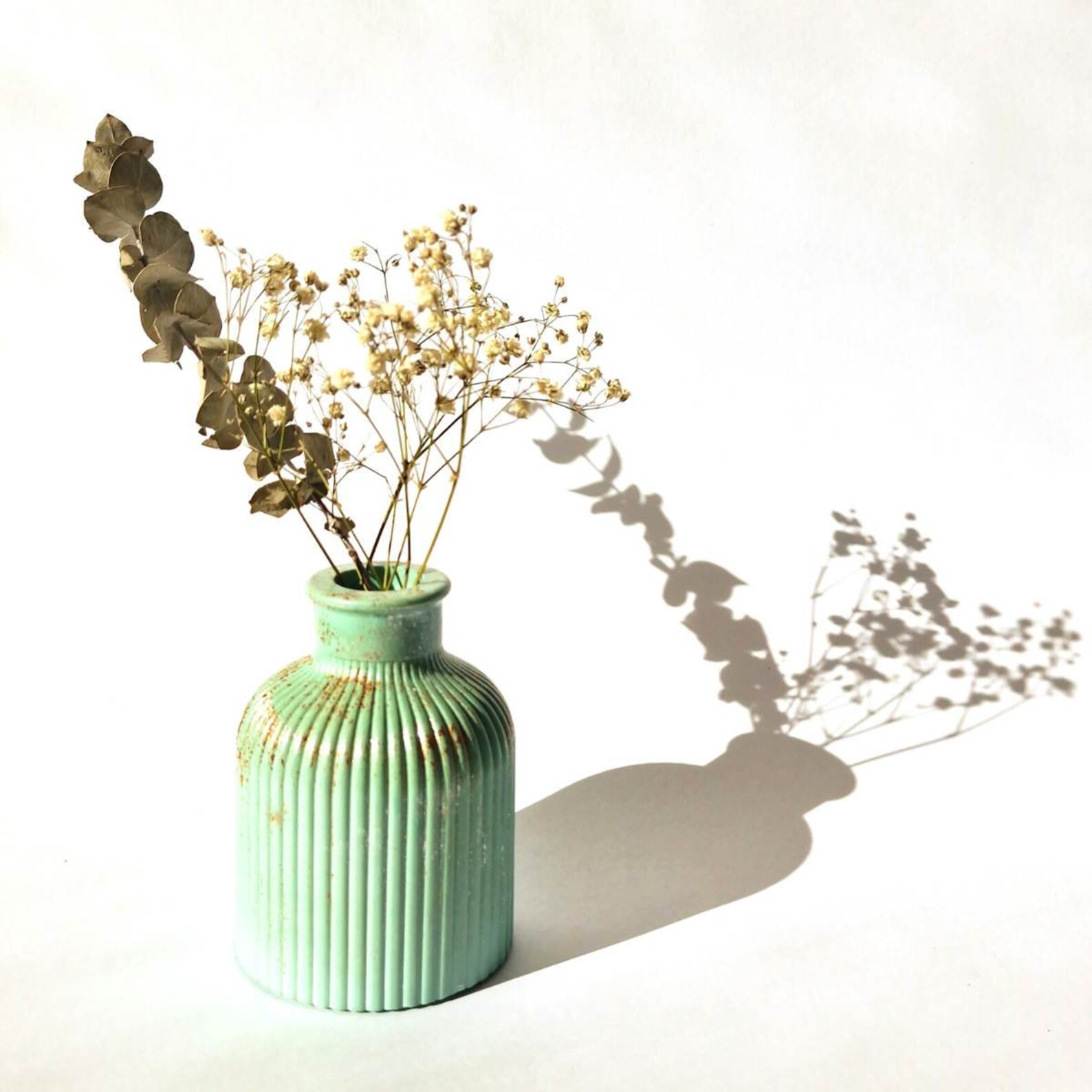 Colorful Ribbed Bud Vase | Single Stem Vase | Flower Display | Home ...