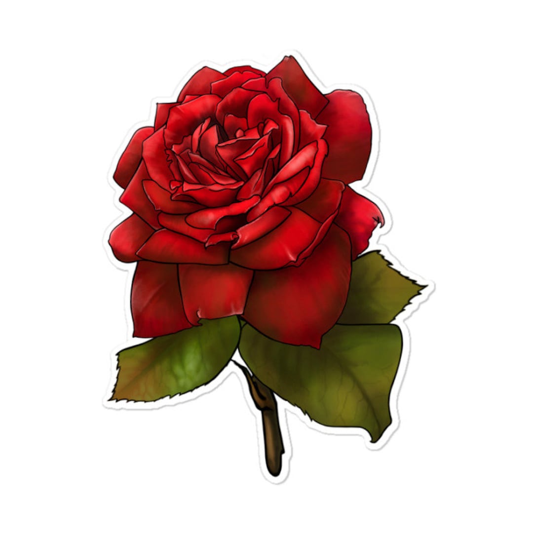 Oklahoma Rose Illustrations Sticker - Etsy