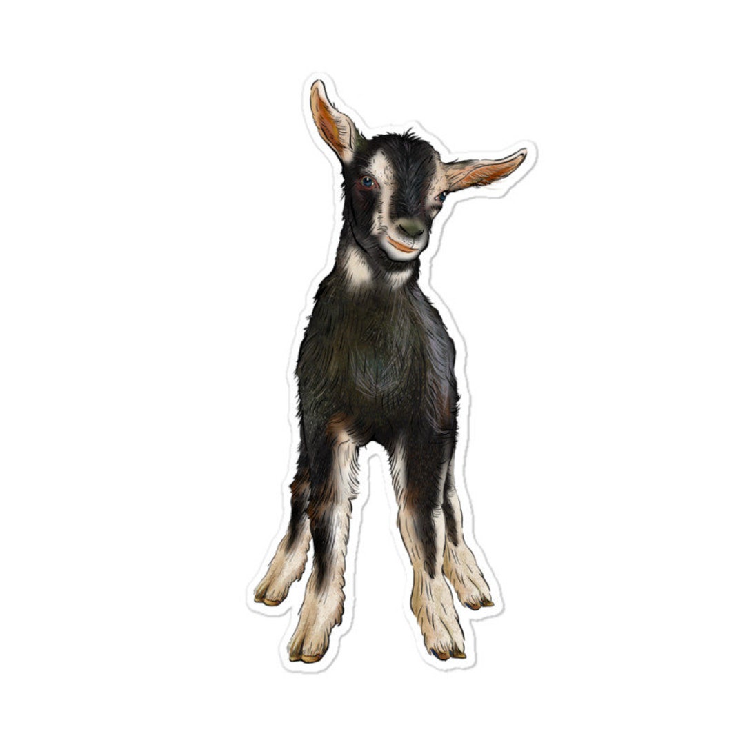 Hand Drawn Baby Alpine Goat Sticker - Etsy