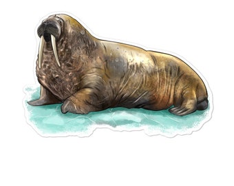 Walrus Sticker Sheet, Matte Stickers, Zoo, Animal Love, Animals ...