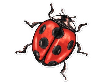 Ladybug Sticker - Etsy