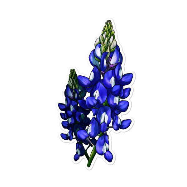 Bluebonnet - Etsy