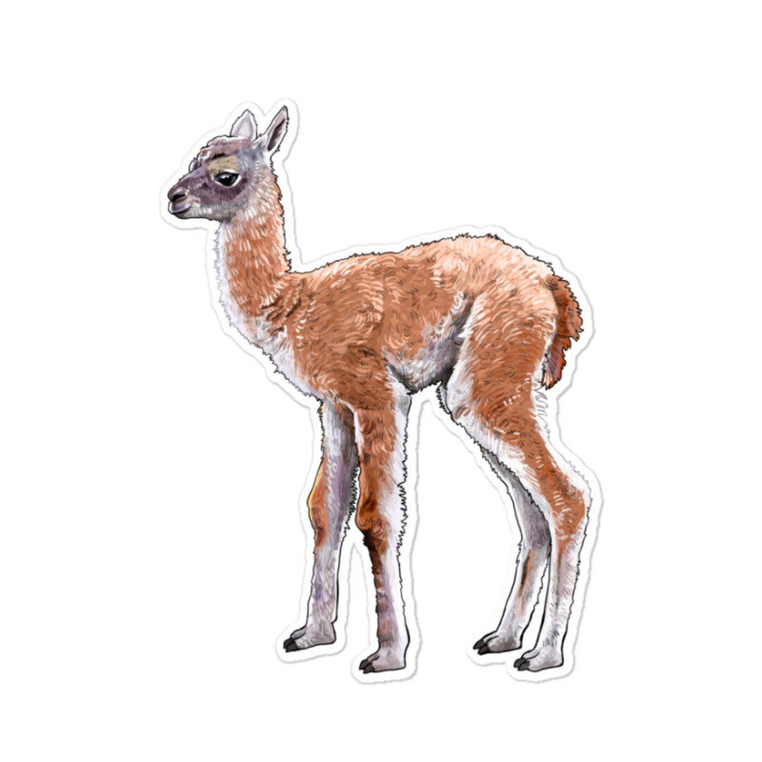 Guanaco Llama Baby Sticker - Etsy