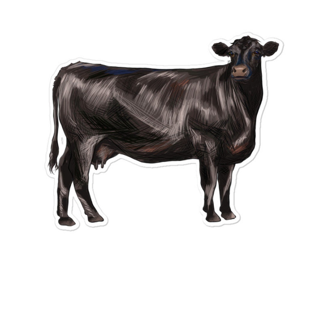 Black Angus Cow Sticker - Etsy