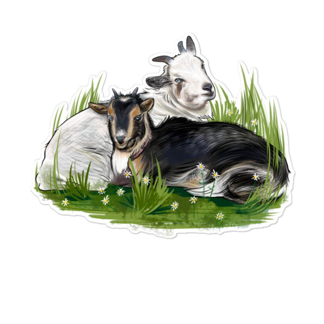 Two Baby Nigerian Dwarf Goat Sticker - Etsy