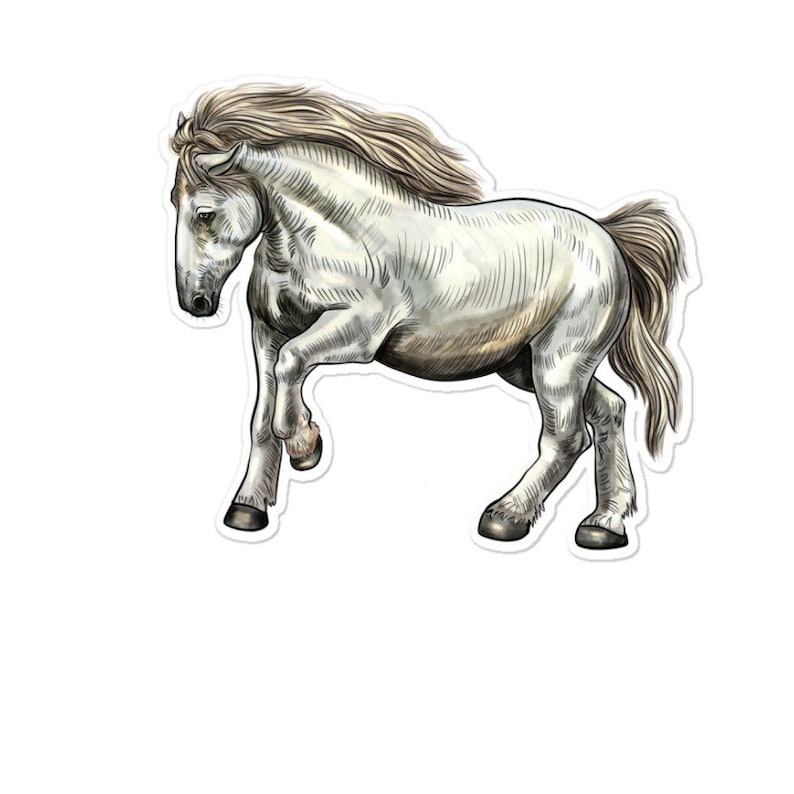 Percheron Horse Sticker - Etsy